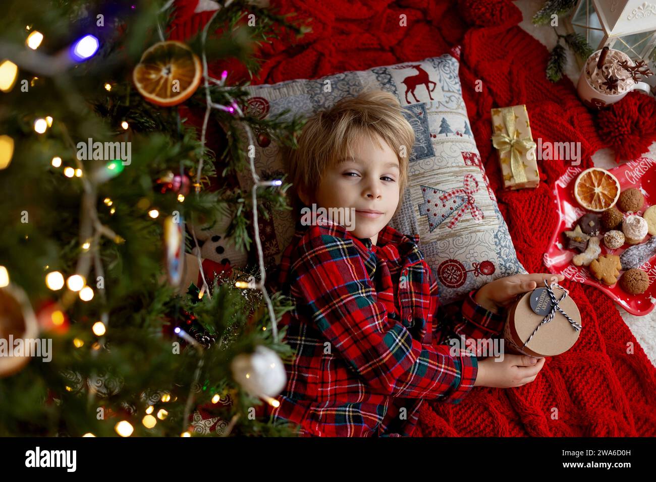 Cute child, cute blond boy, sleeping under the christmas tree, waiting ...