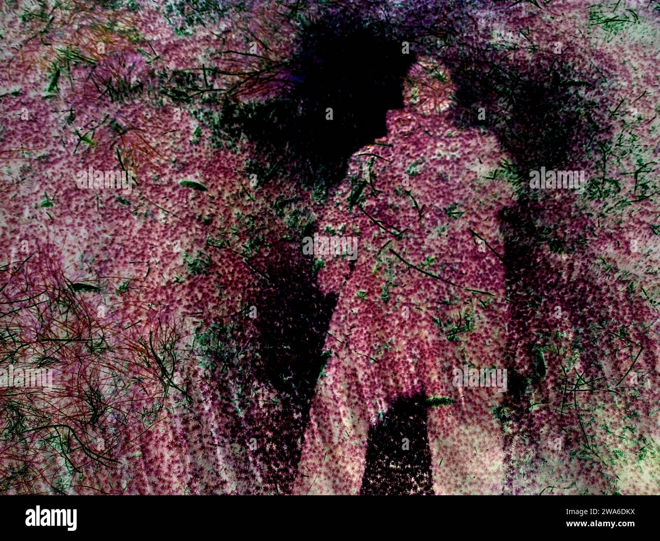 Abstract shadow, alienated Stock Photo - Alamy