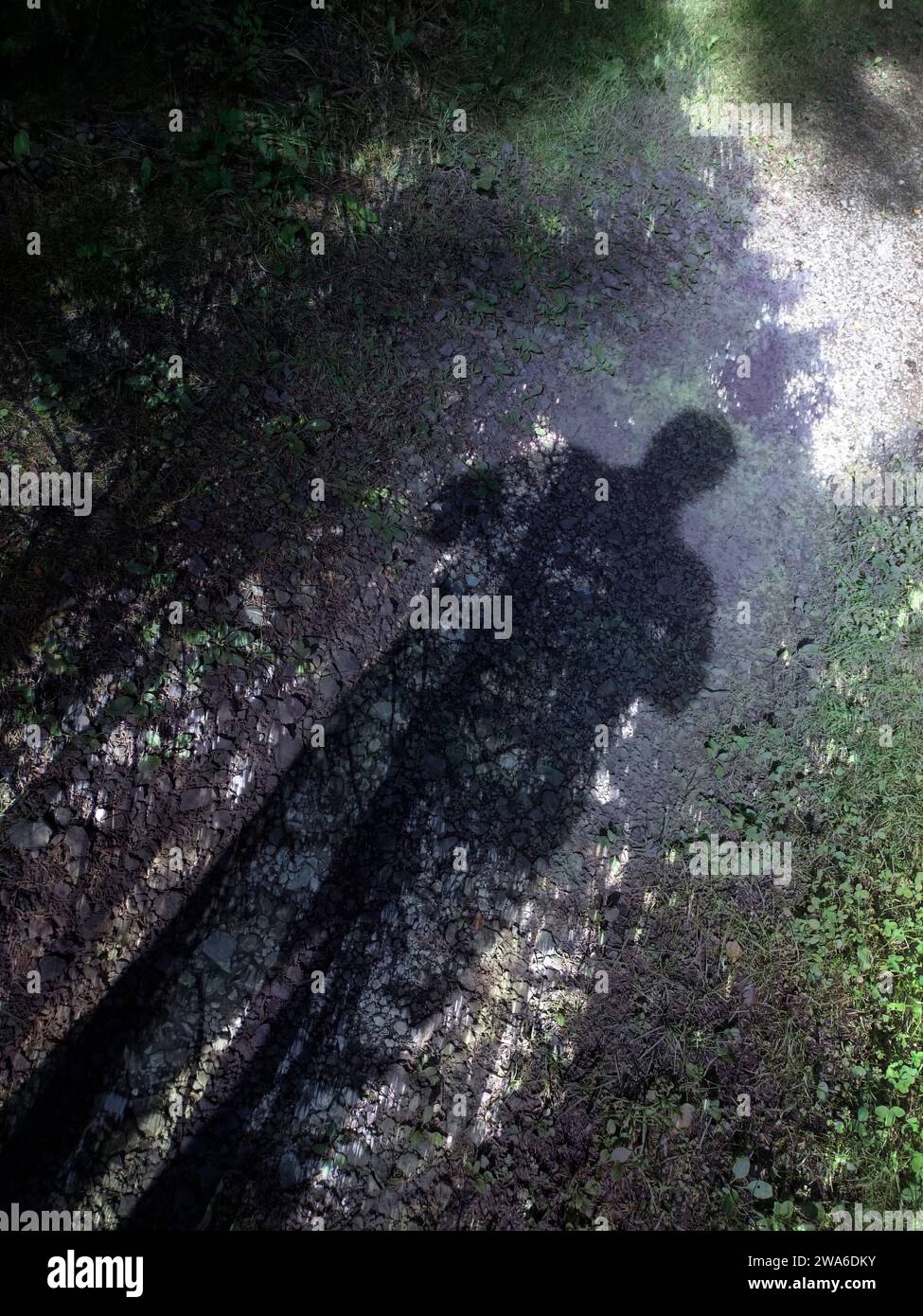 Abstract shadow, alienated Stock Photo - Alamy