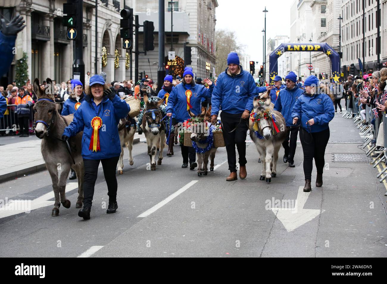London, UK. 01st Jan, 2024. People with donkeys and foals during the annual London New Year's ...