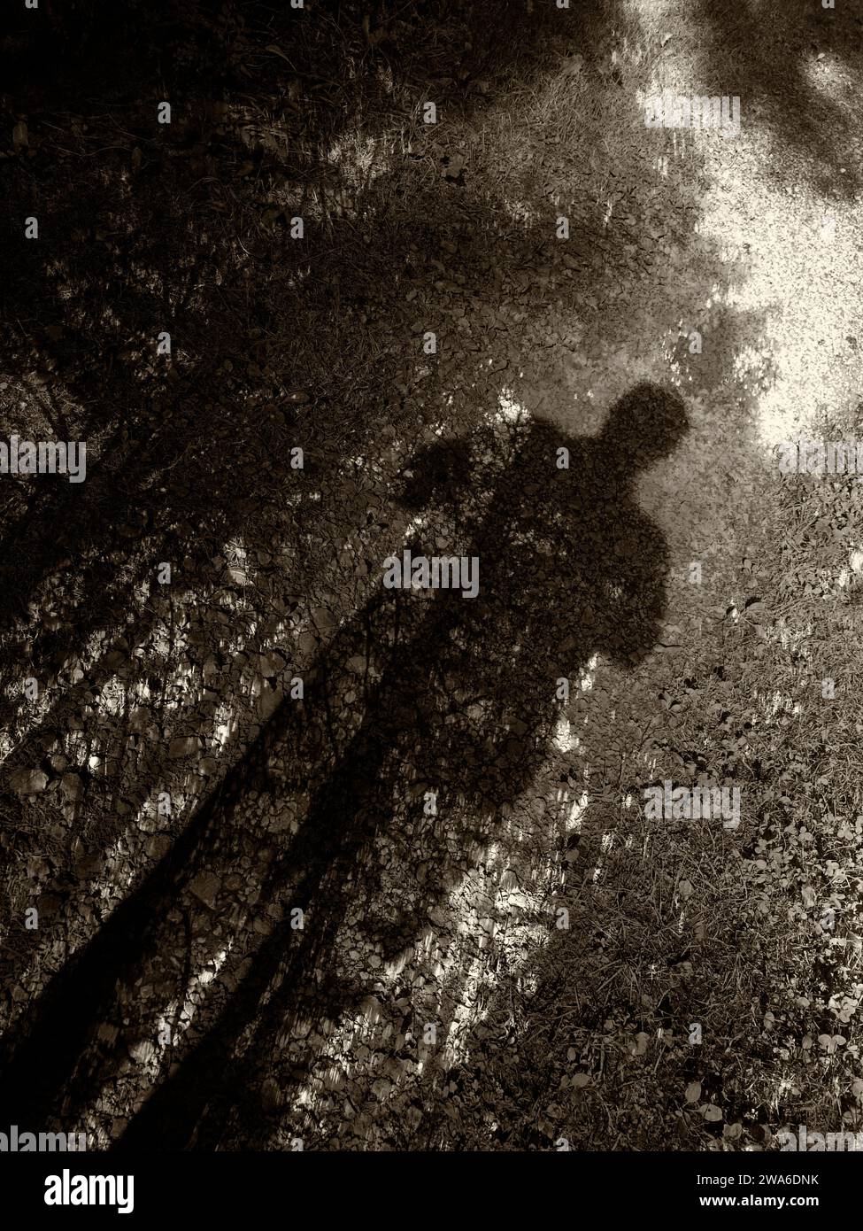 Abstract shadow, alienated Stock Photo - Alamy