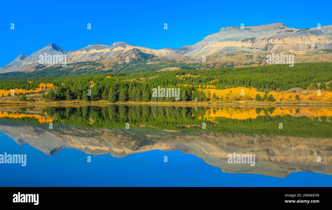 panorama of mountain peaks of glacier national park and aspen in fall ...