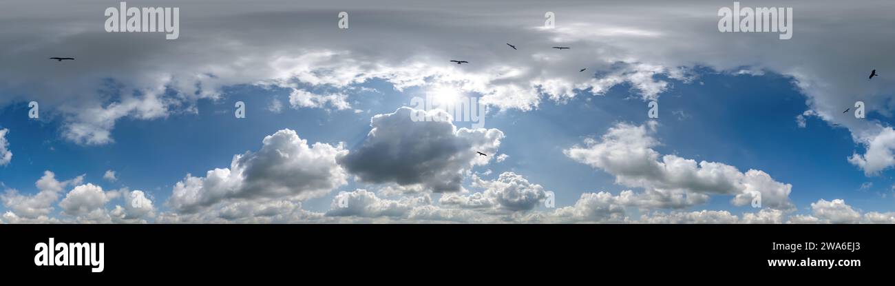 seamless cloudy blue skydome 360 hdri panorama view with flock of birds ...