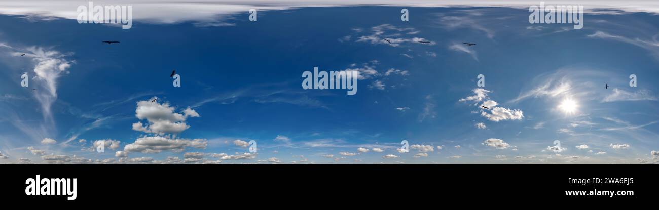 seamless blue sky hdri 360 panorama view flock of birds in clouds as ...