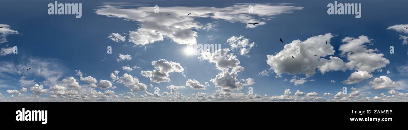 seamless cloudy blue sky 360 hdri panorama view flock of birds in ...