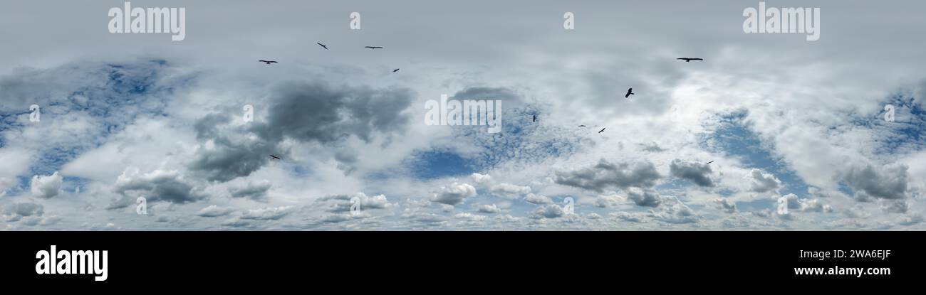 seamless cloudy blue skydome 360 hdri panorama view with flock of birds ...