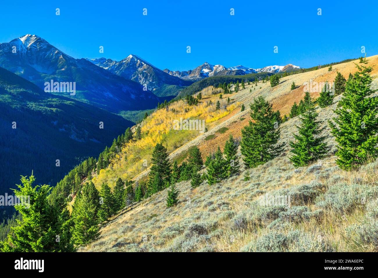 fall colors in the spanish peaks section of the madison range in the ...