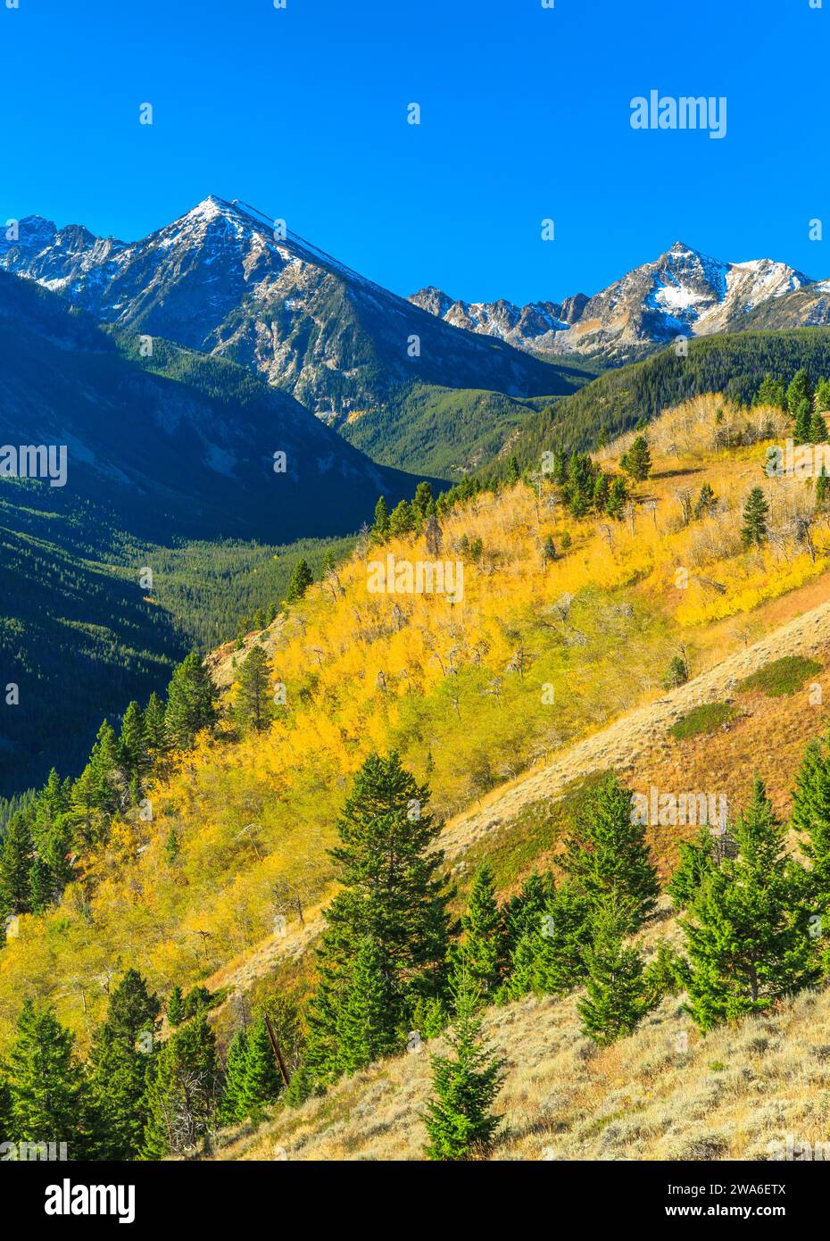 fall colors in the spanish peaks section of the madison range in the ...