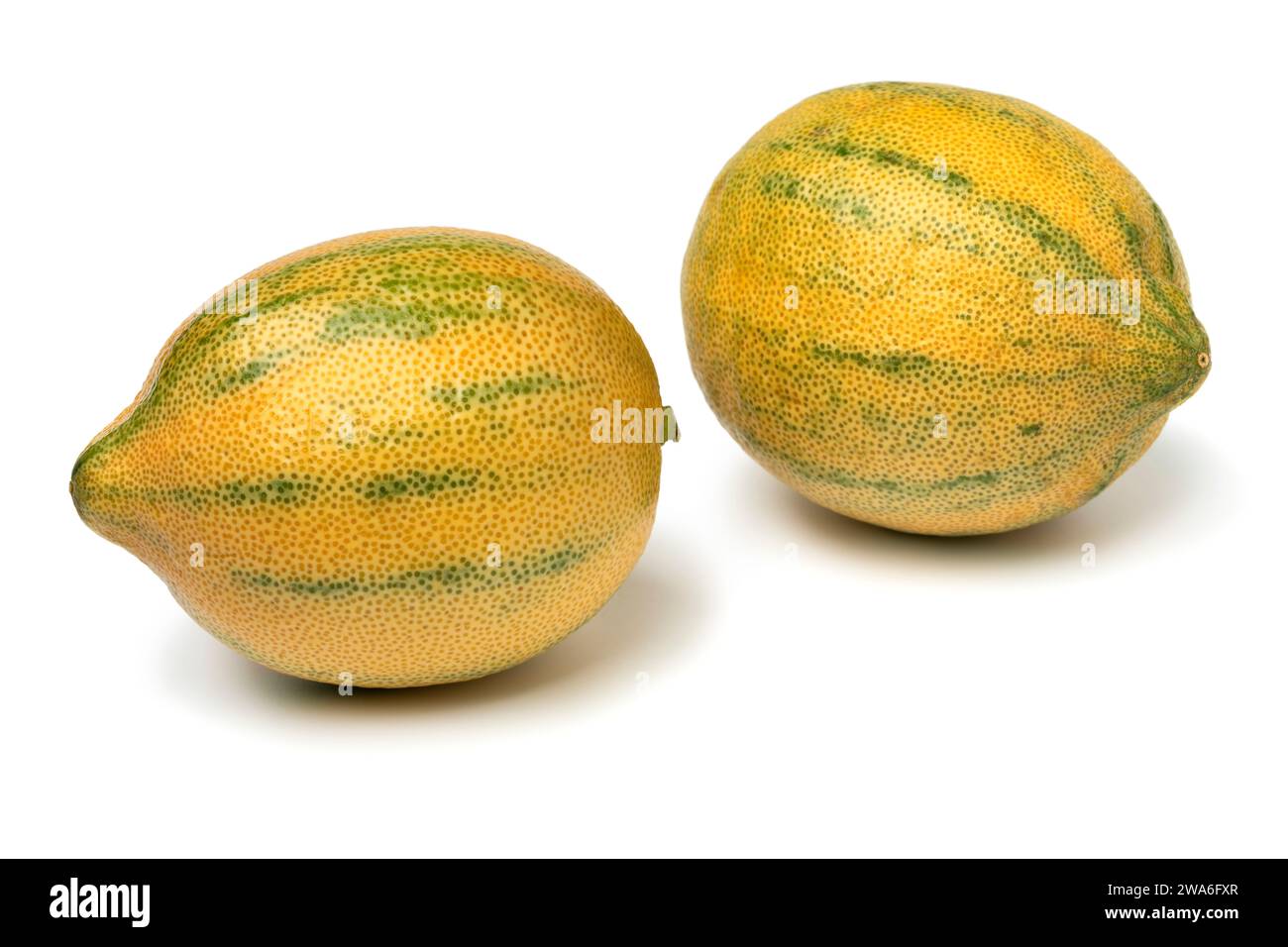 Pair of whole tiger lemons isolated on white background close up Stock ...