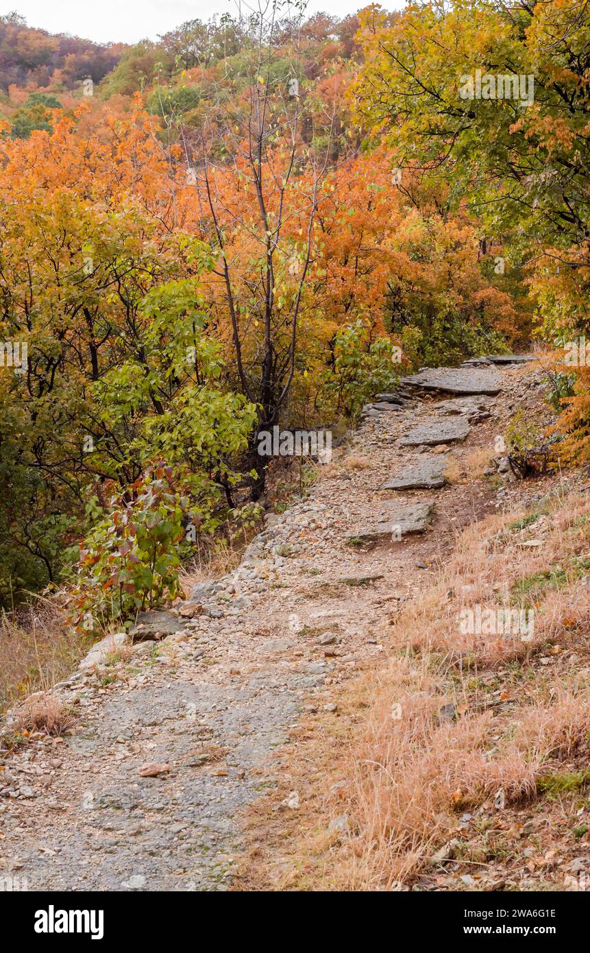 Autumn leaves stone rock trees hi-res stock photography and images - Alamy