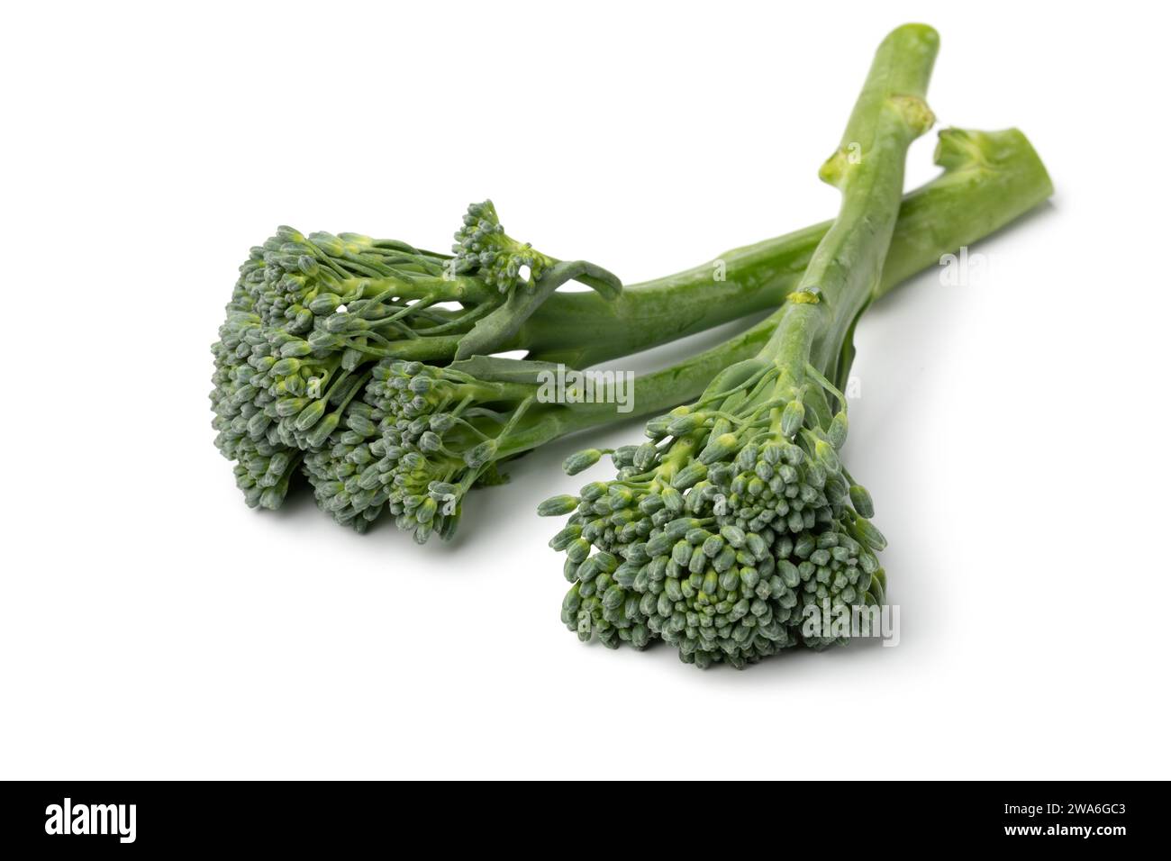 Fresh raw green broccolini close up isolated on white background Stock ...