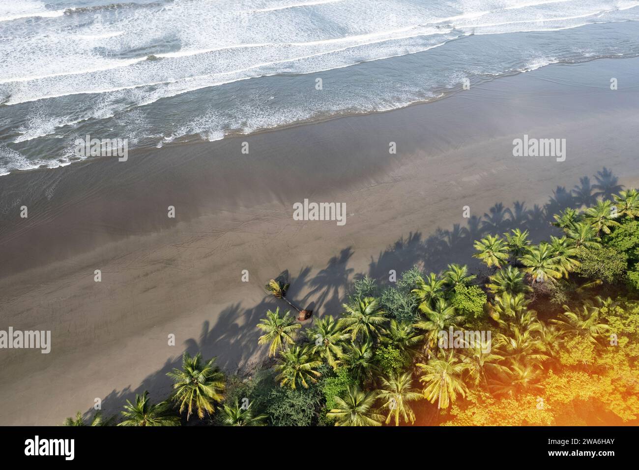 Clean empty tropical beach with white sea waves and palm trees aerial ...