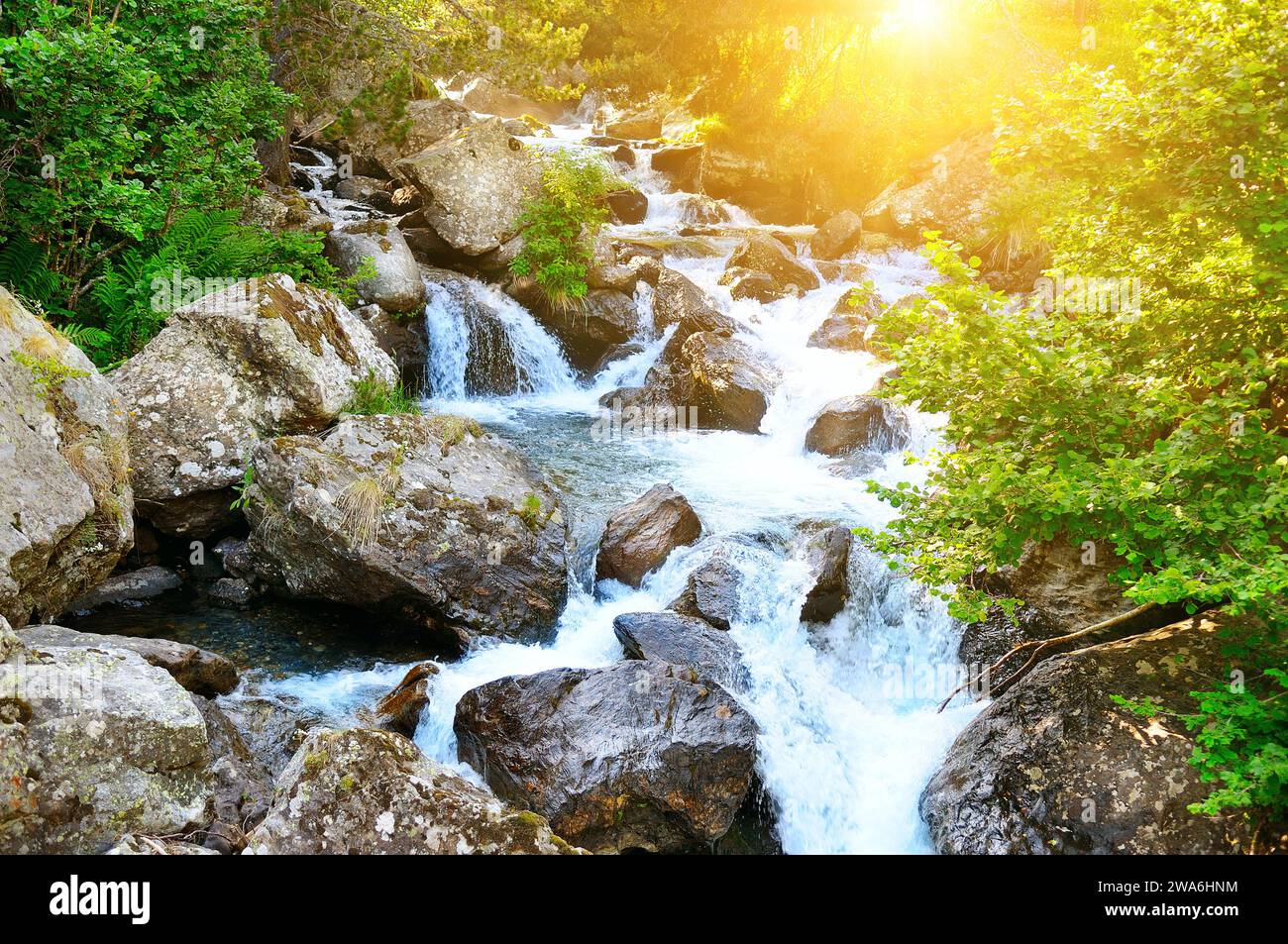 Mountain river flowing through the green forest. The concept is travel ...