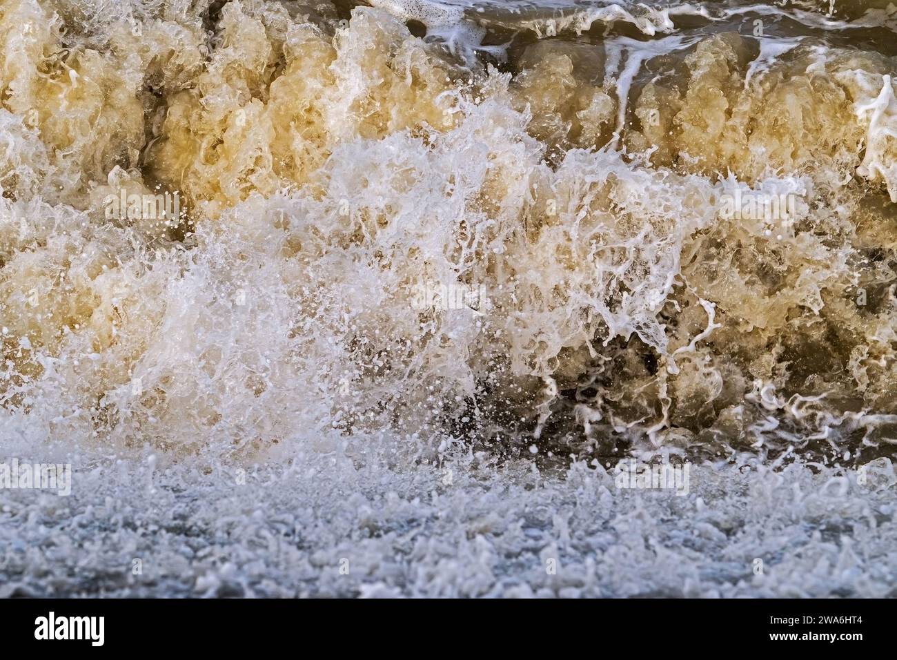 Murky water hi-res stock photography and images - Alamy