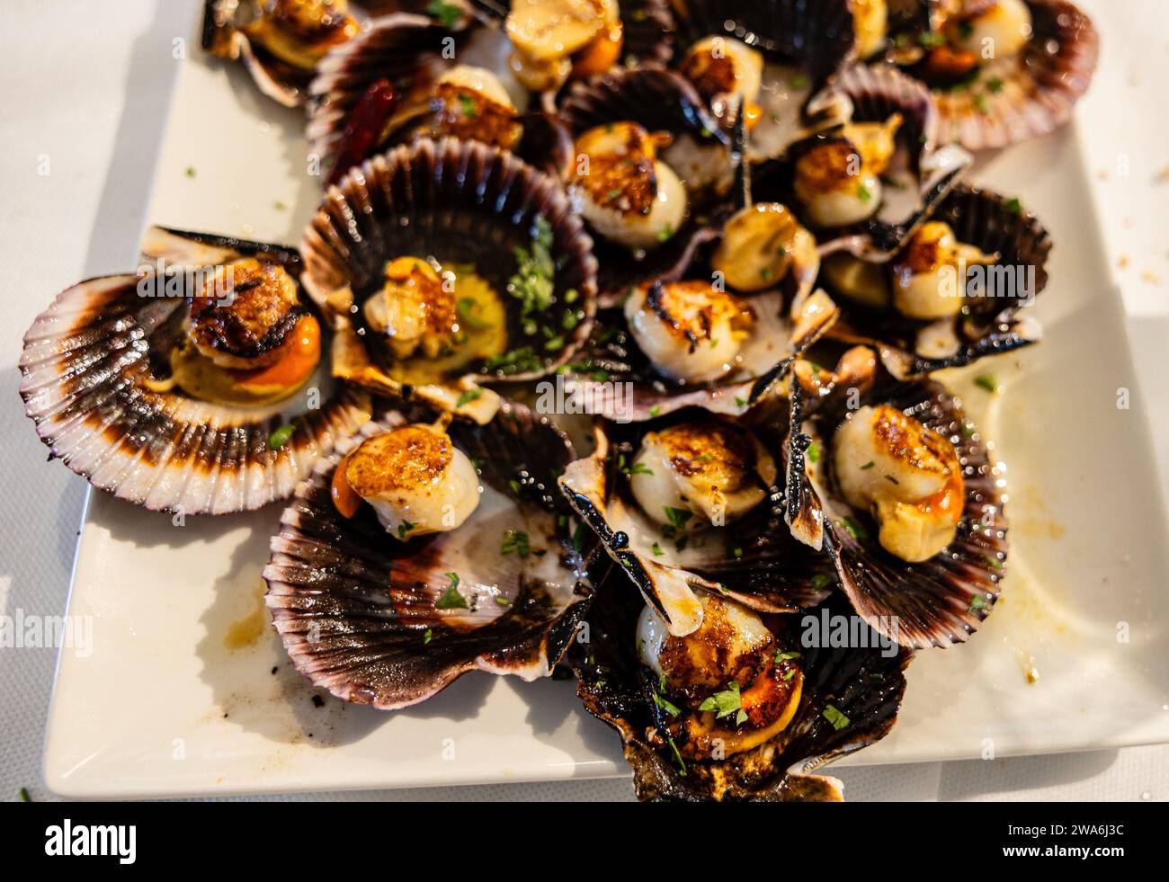 Detail of a plate of very tasty cooked scallops ready to eat Stock ...