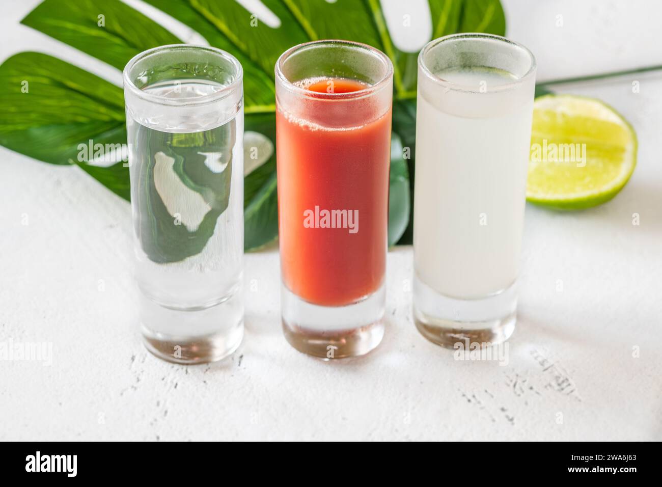 Bandera Cocktail - shots of sangrita, tequila and lime juice Stock ...