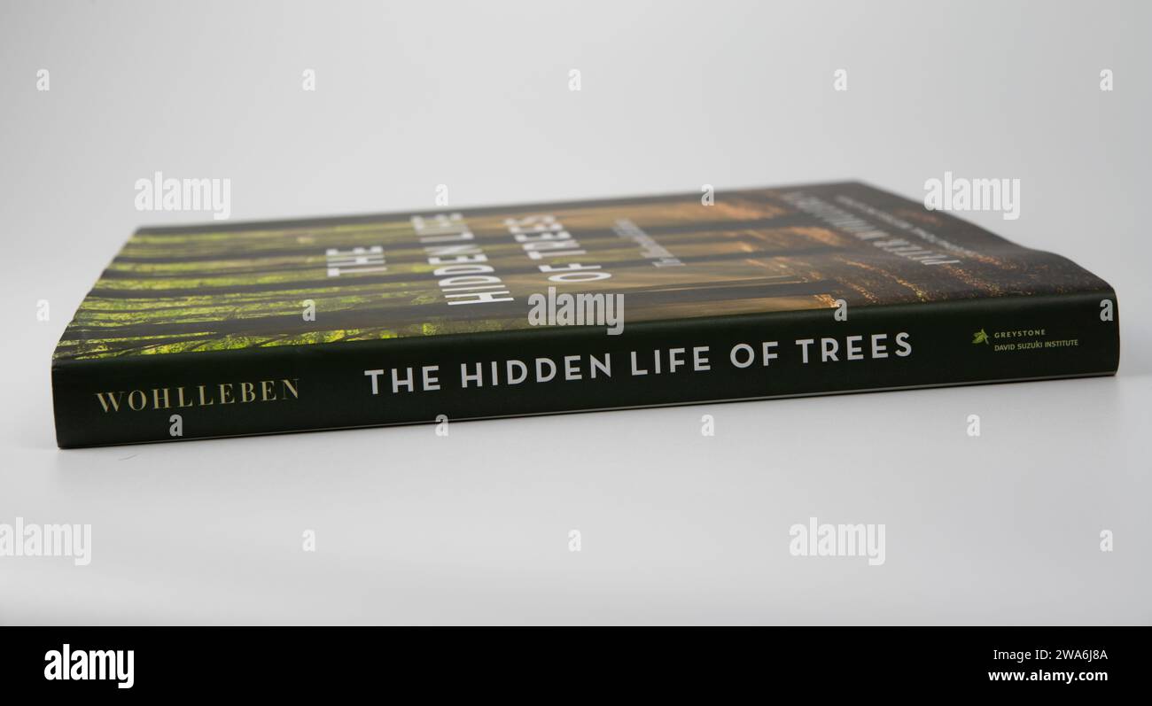 Nova Bana, Slovakia - December, 31, 2023 : The Hidden Life Of Trees ...