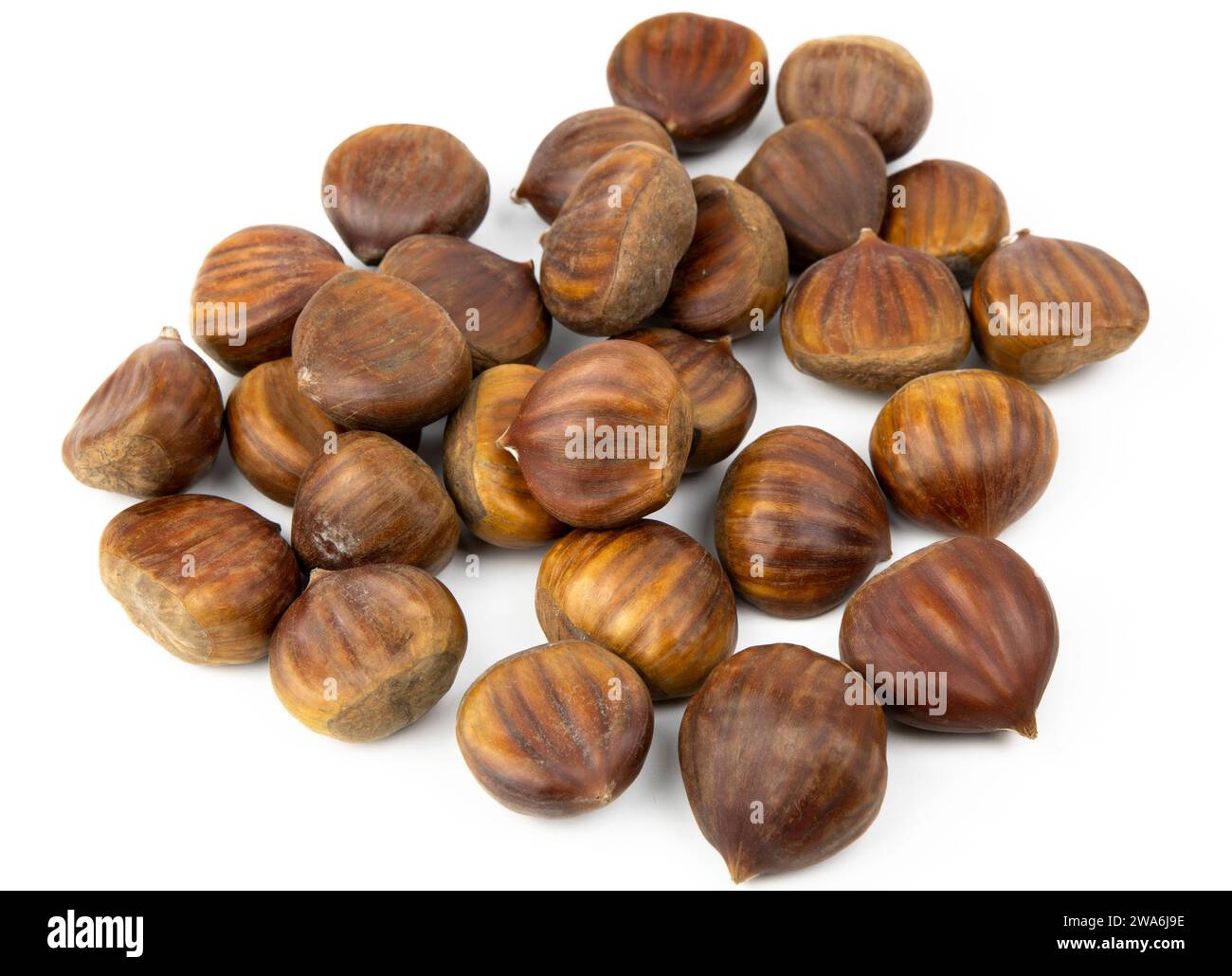 Edible chestnuts isolated on white background. Castanea sativa, the ...