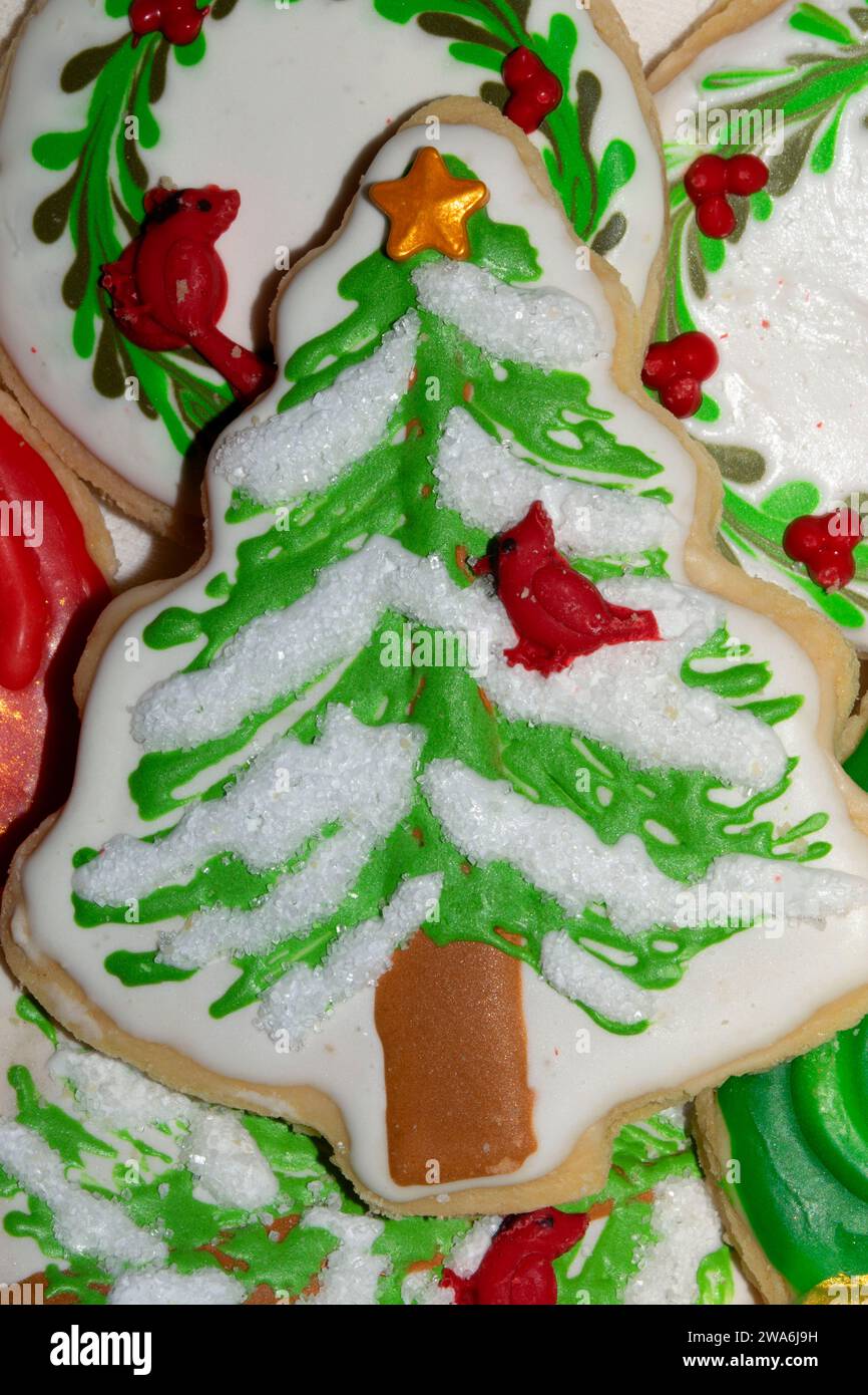 Frosted christmas sugar cookies hi-res stock photography and images - Alamy