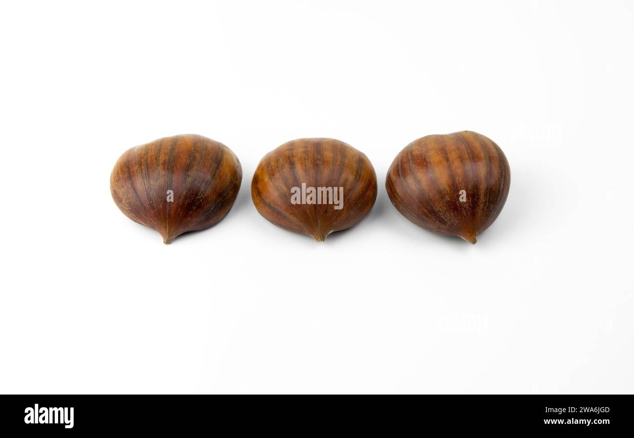 Edible chestnuts isolated on white background. Castanea sativa, the ...