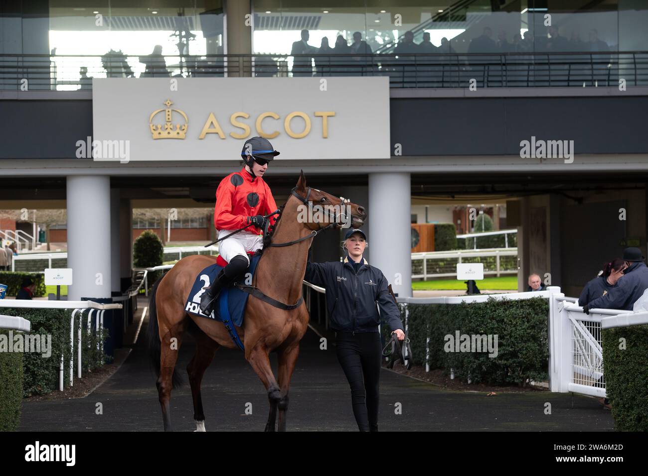Handicap hurdle at cheltenham racecourse hi-res stock photography and ...