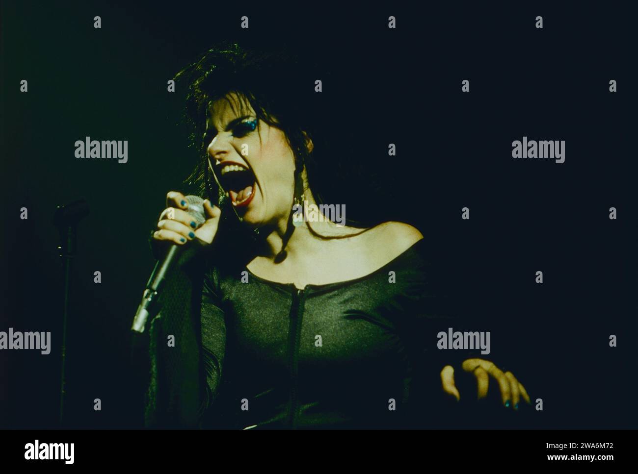 Nina Hagen, deutsche Sängerin, Liedermacherin, aka, Godmother of Punk ...