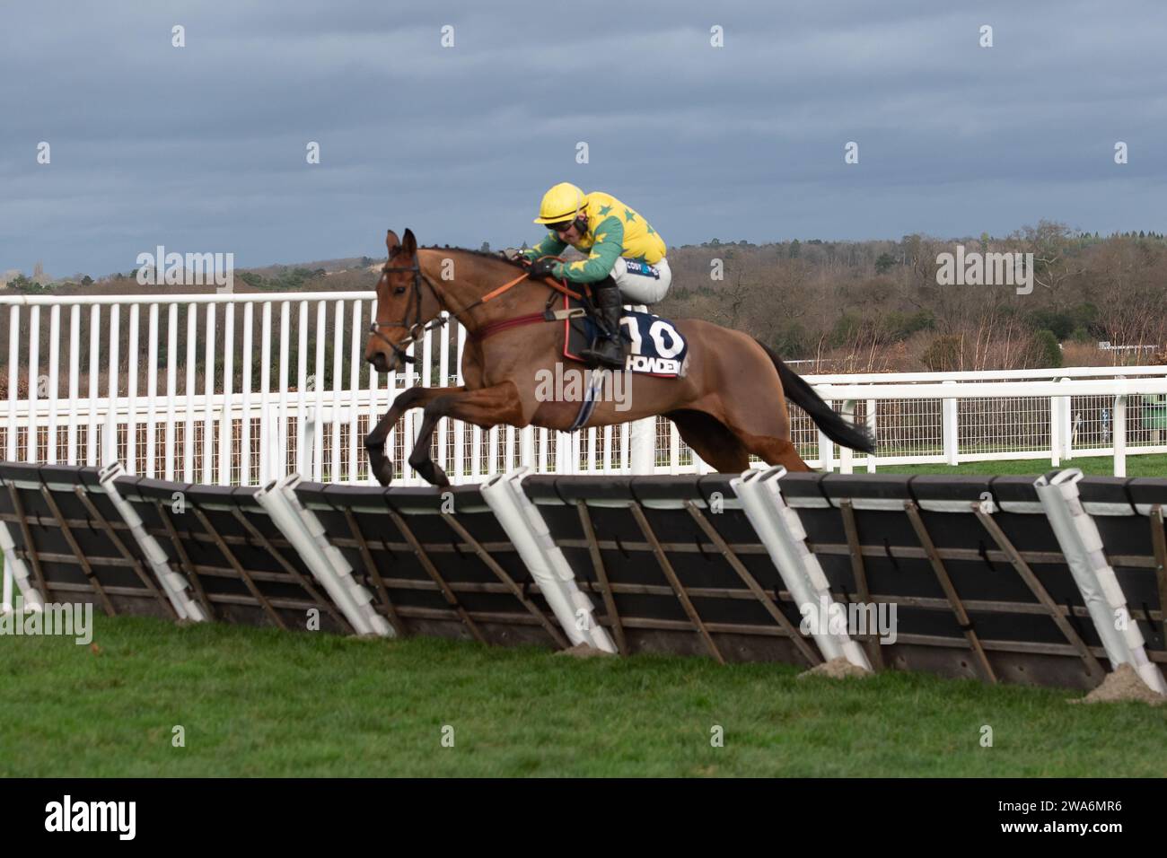 Ascot, Berkshire, UK. 22nd December, 2023. Horse Rebel Intentions ...
