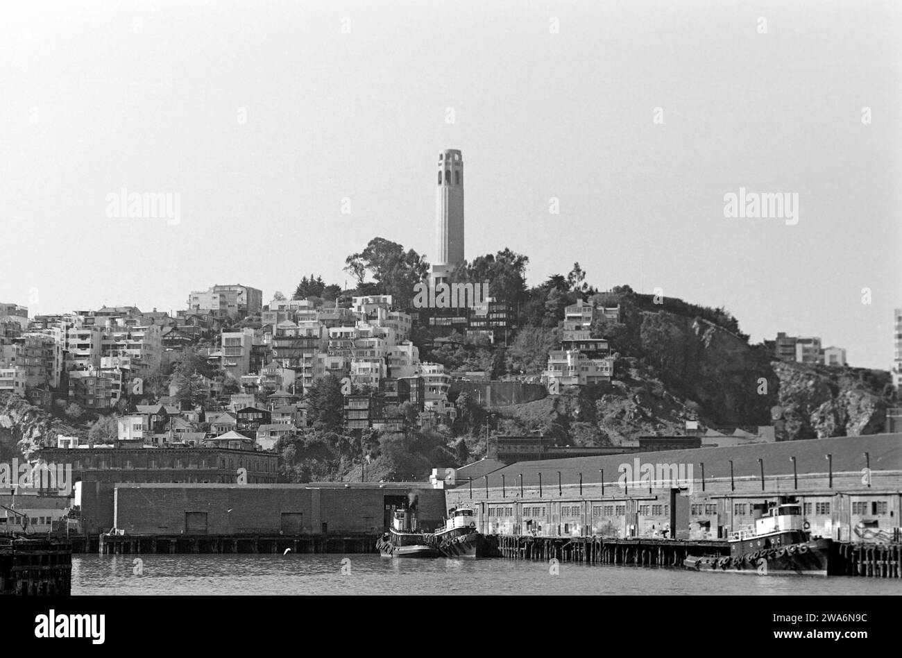 Zu einem aussichtsturm hi-res stock photography and images - Alamy