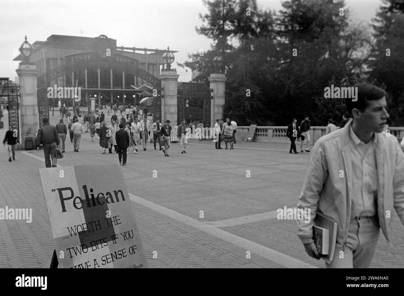 Jane sather hi-res stock photography and images - Alamy