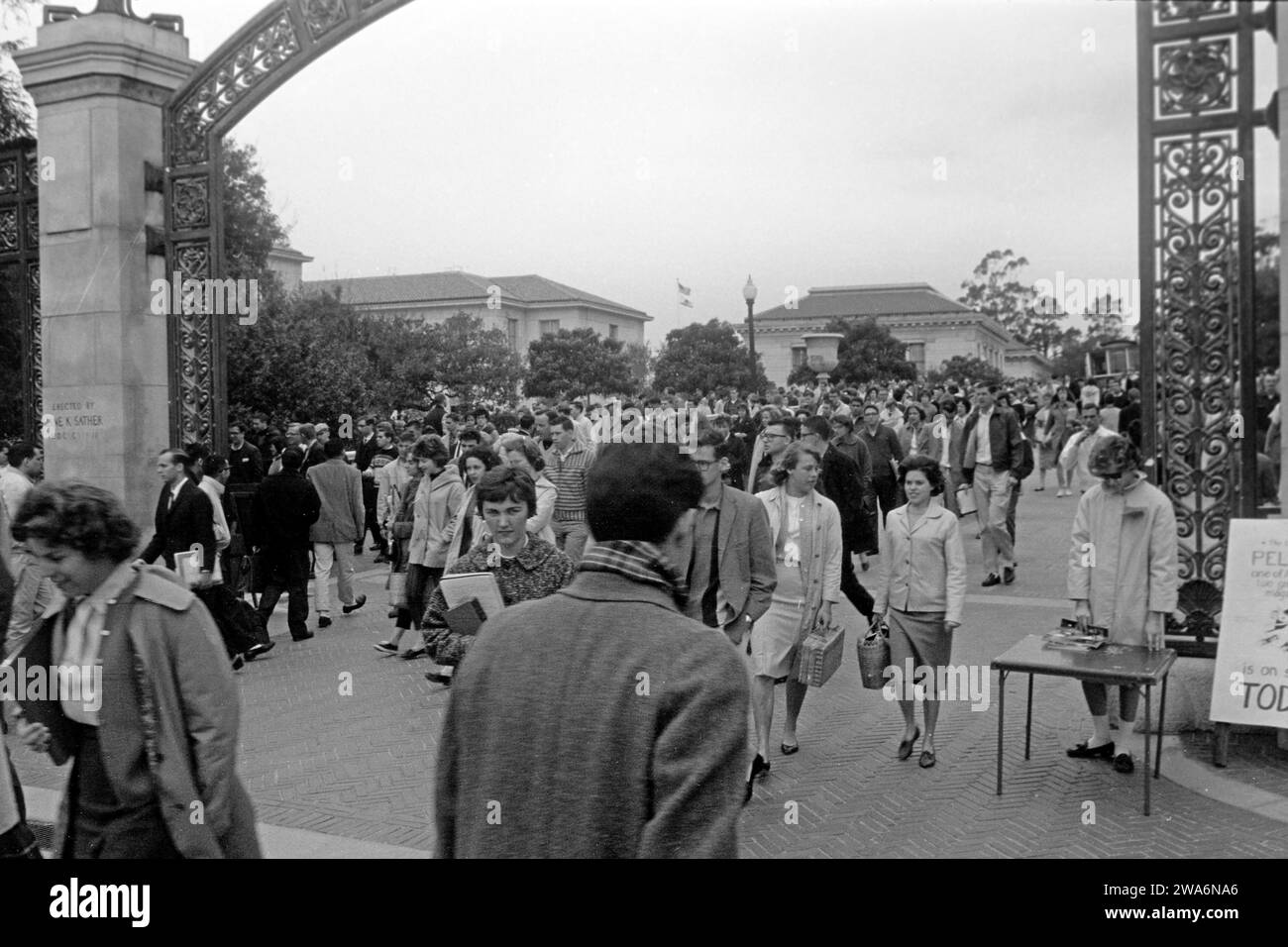 Jane sather hi-res stock photography and images - Alamy