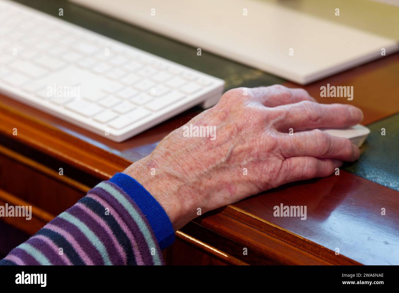 Senior elderly lady's hand on computer mouse Stock Photo - Alamy