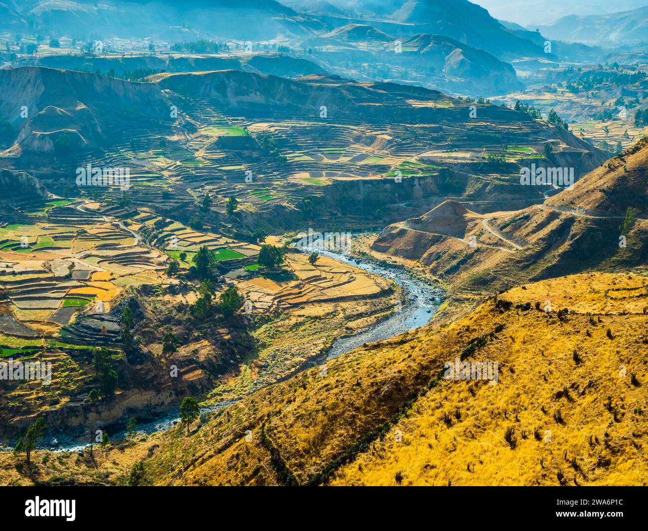 Overview of Colca Canyon and its stepped terraced fields, Peru Stock ...