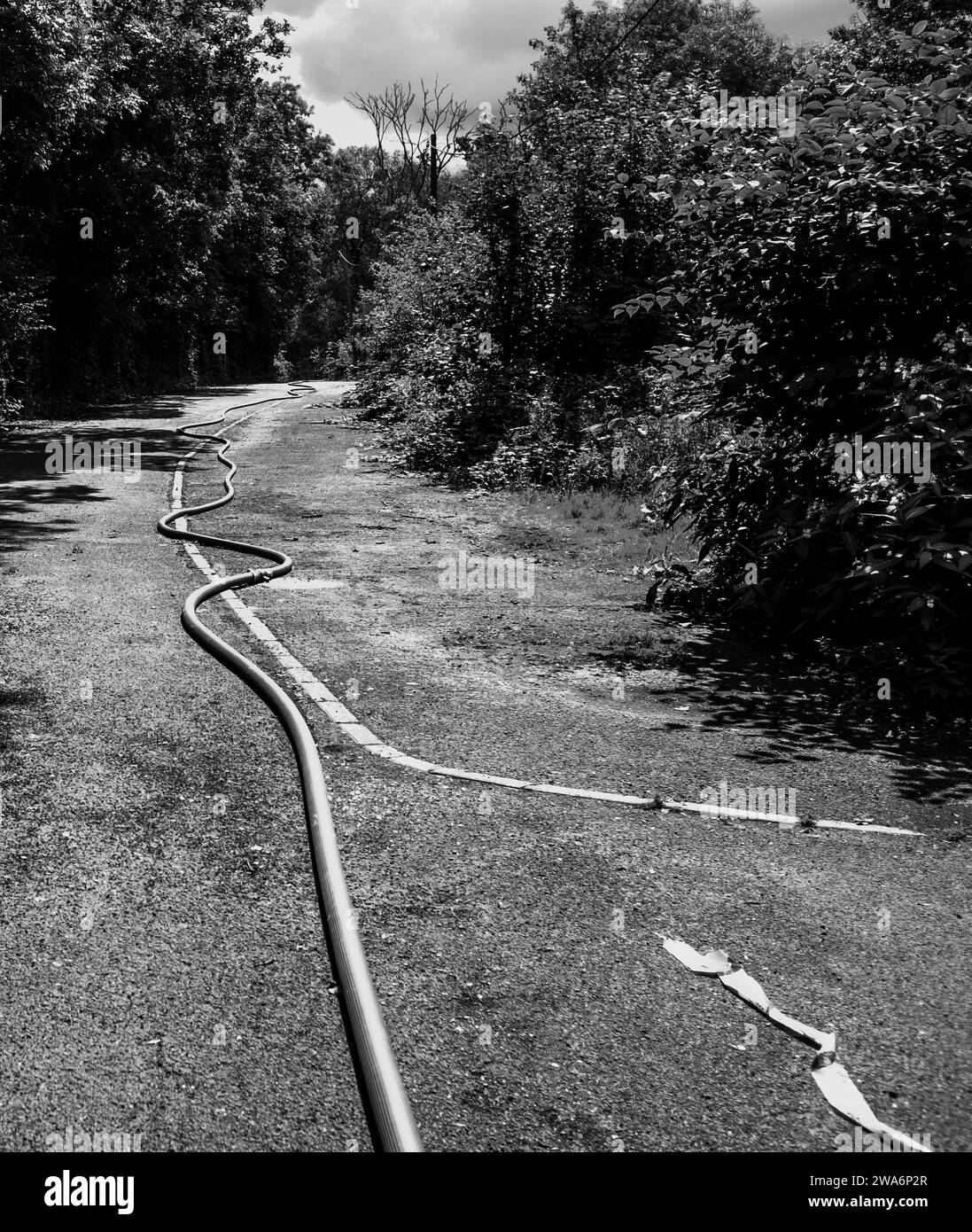 House building fire brigade Black and White Stock Photos & Images - Alamy