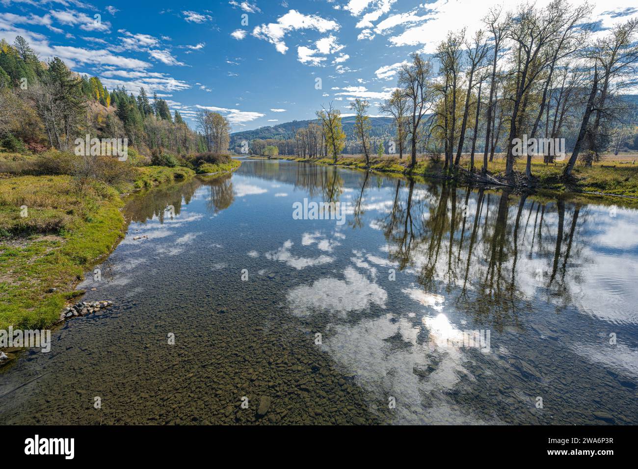 St Joe River in Northern Idaho Stock Photo - Alamy
