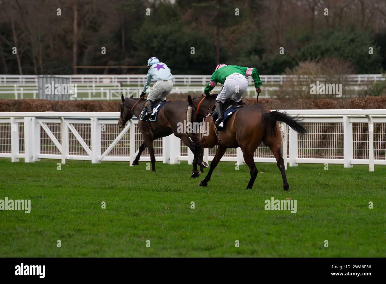 Owner the nevers racing partnership ii hi-res stock photography and ...