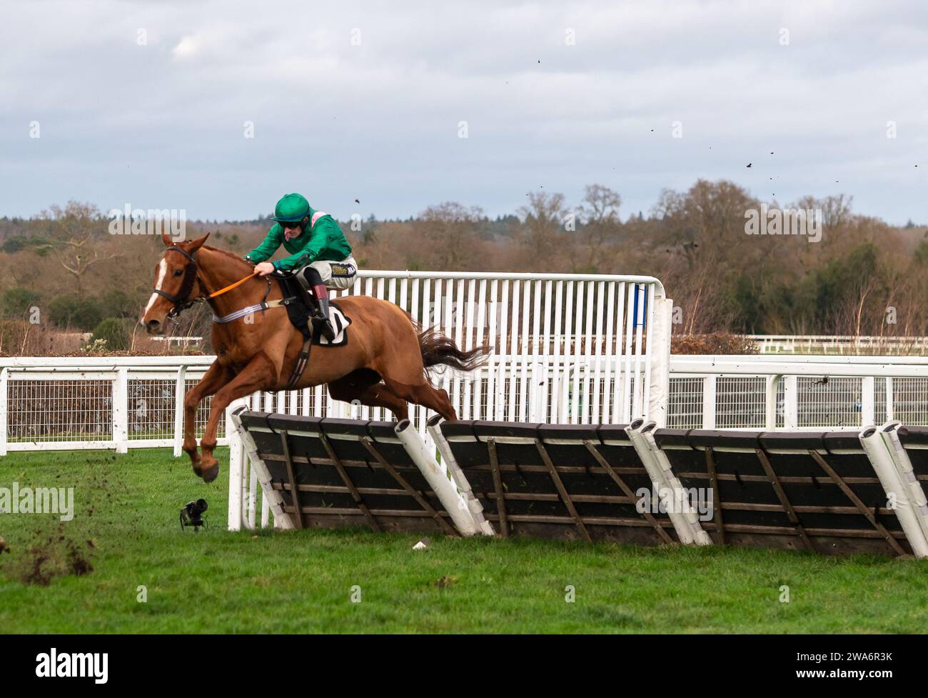Trainer anthony charlton hi-res stock photography and images - Alamy