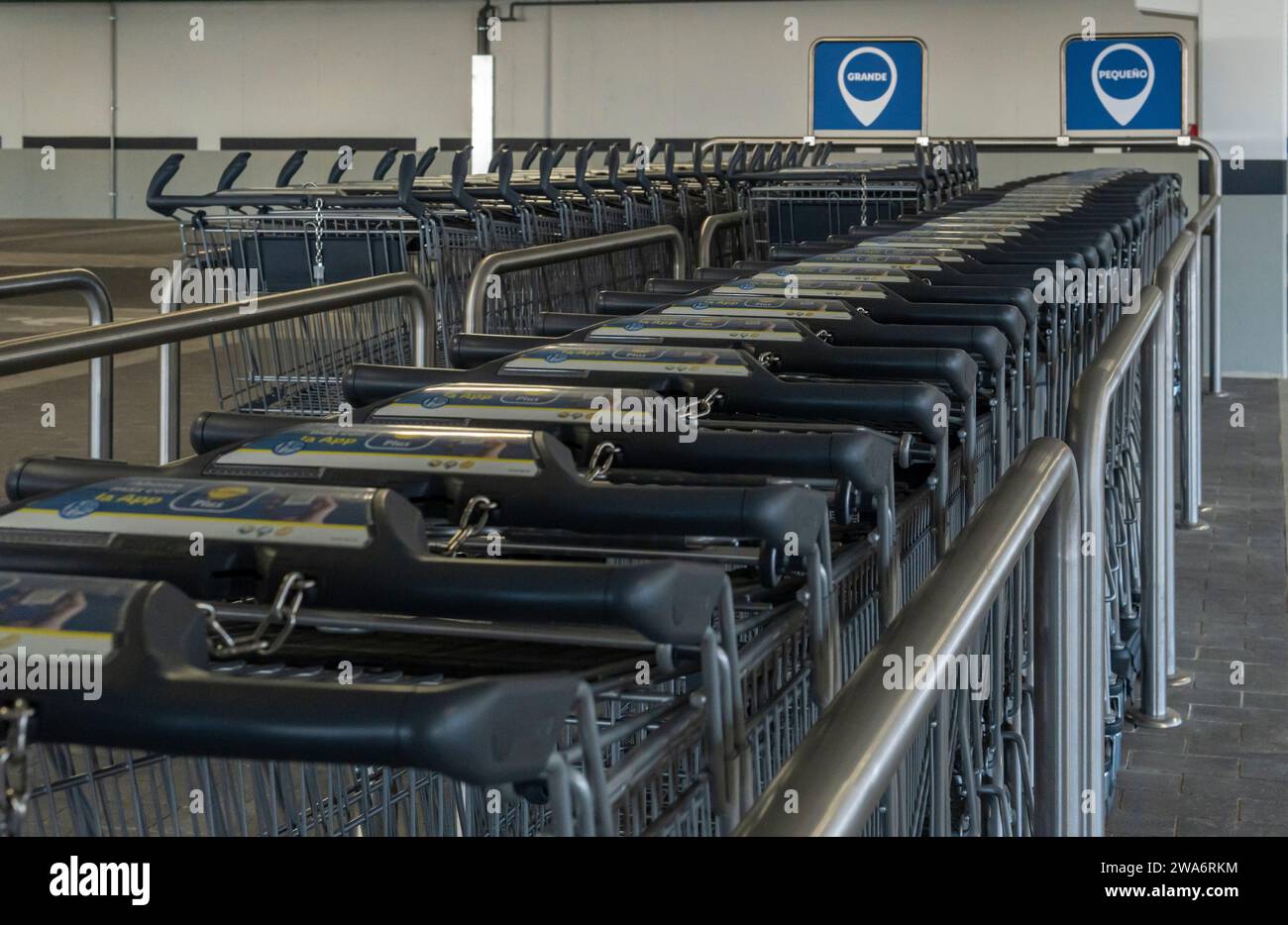 Lidl carts in the evening hi-res stock photography and images - Alamy