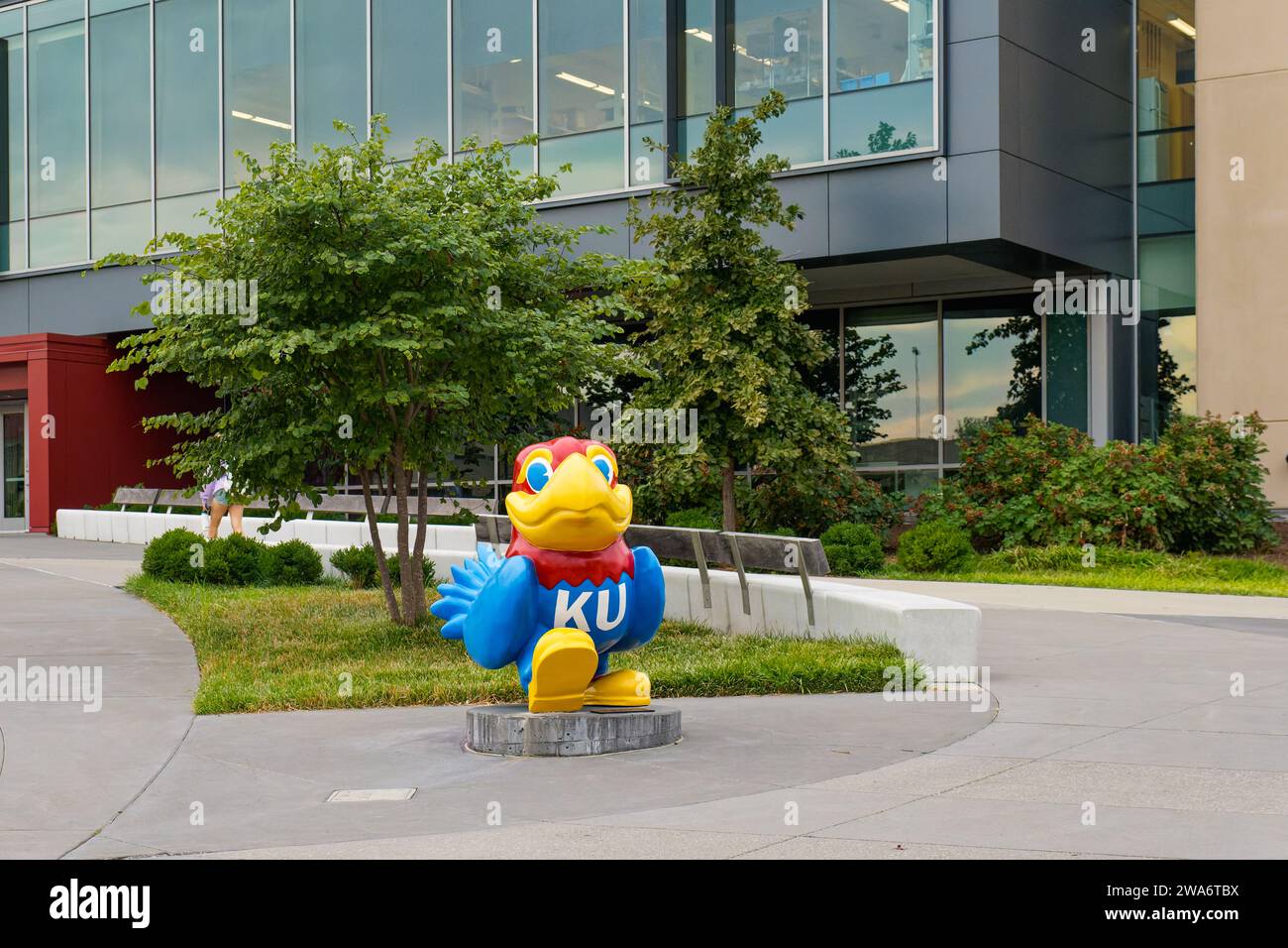 Ku jayhawk mascot hi-res stock photography and images - Alamy