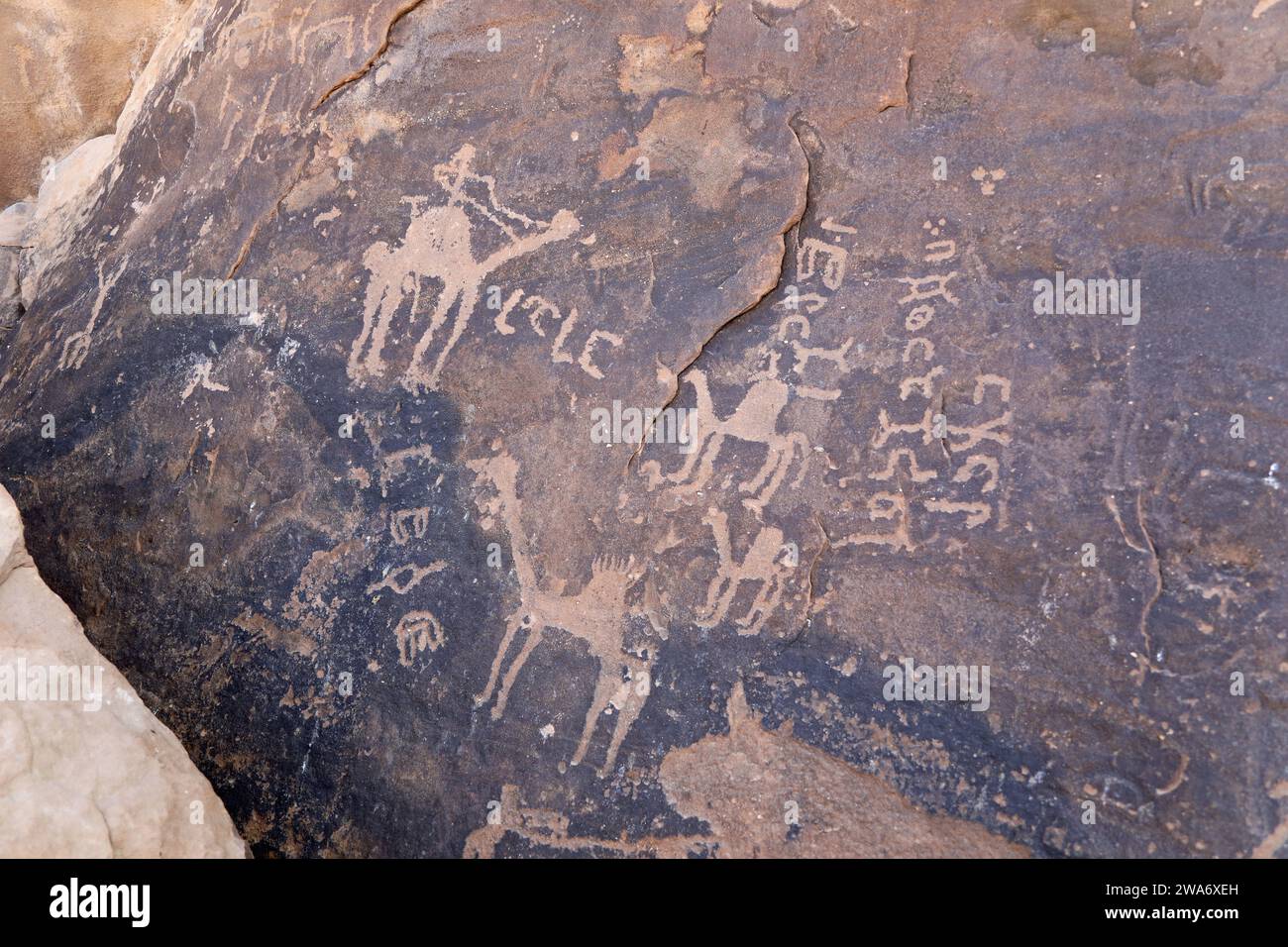 Ancient rock art at Jubbah in the Hail Province of Saudi Arabia Stock ...