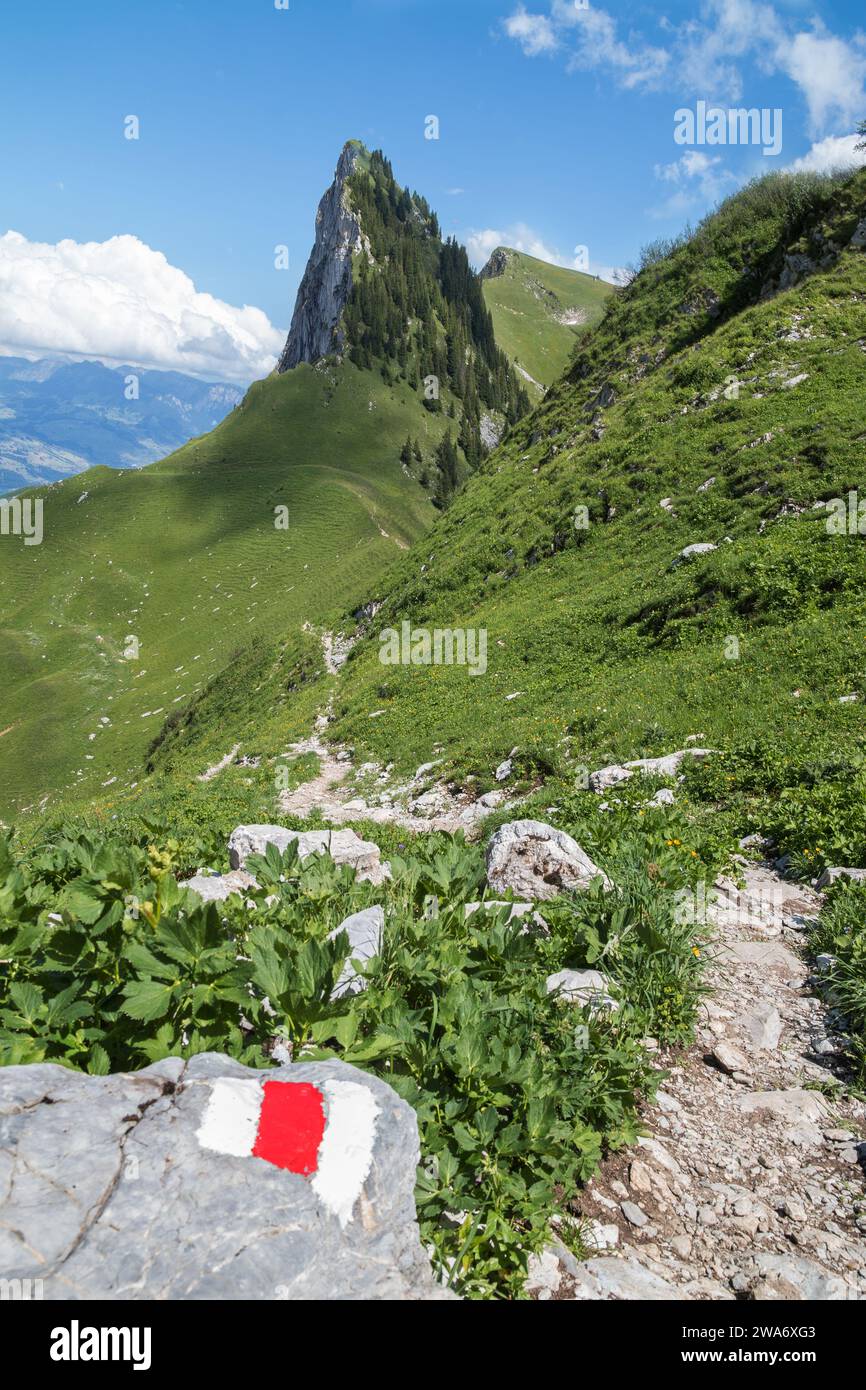 Narrow hiking trails with gravel path on the Swiss Alps Stockhorn and ...