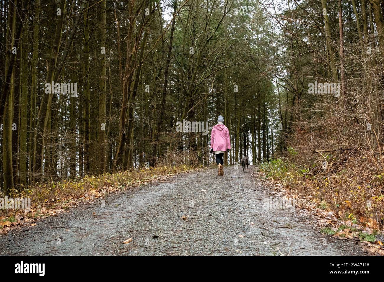 Mensch und tierfreundschaft hi-res stock photography and images - Alamy