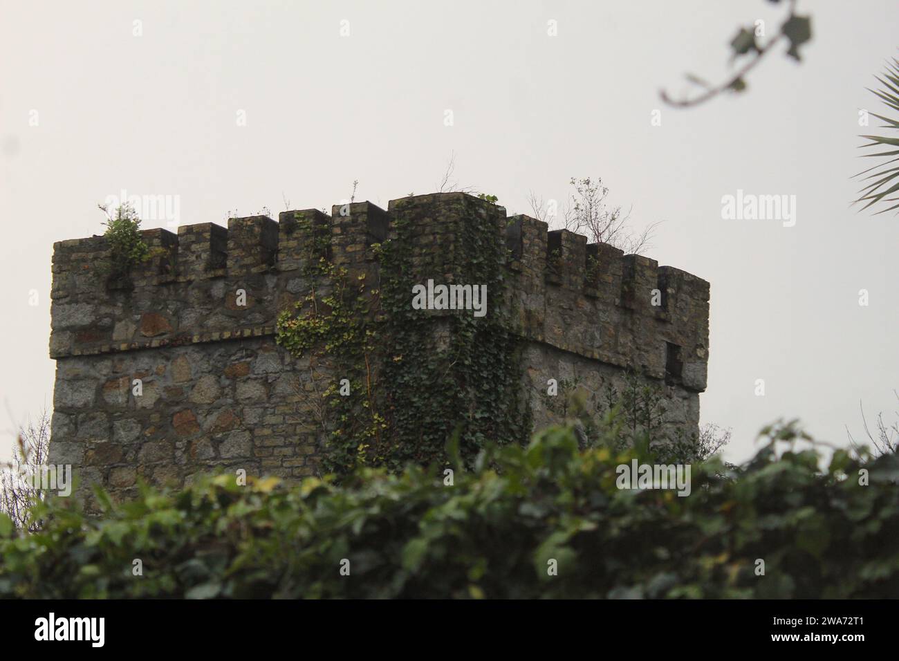 Dublin, Ireland - January 3rd 2024: A landscape photo of a detailed old ...