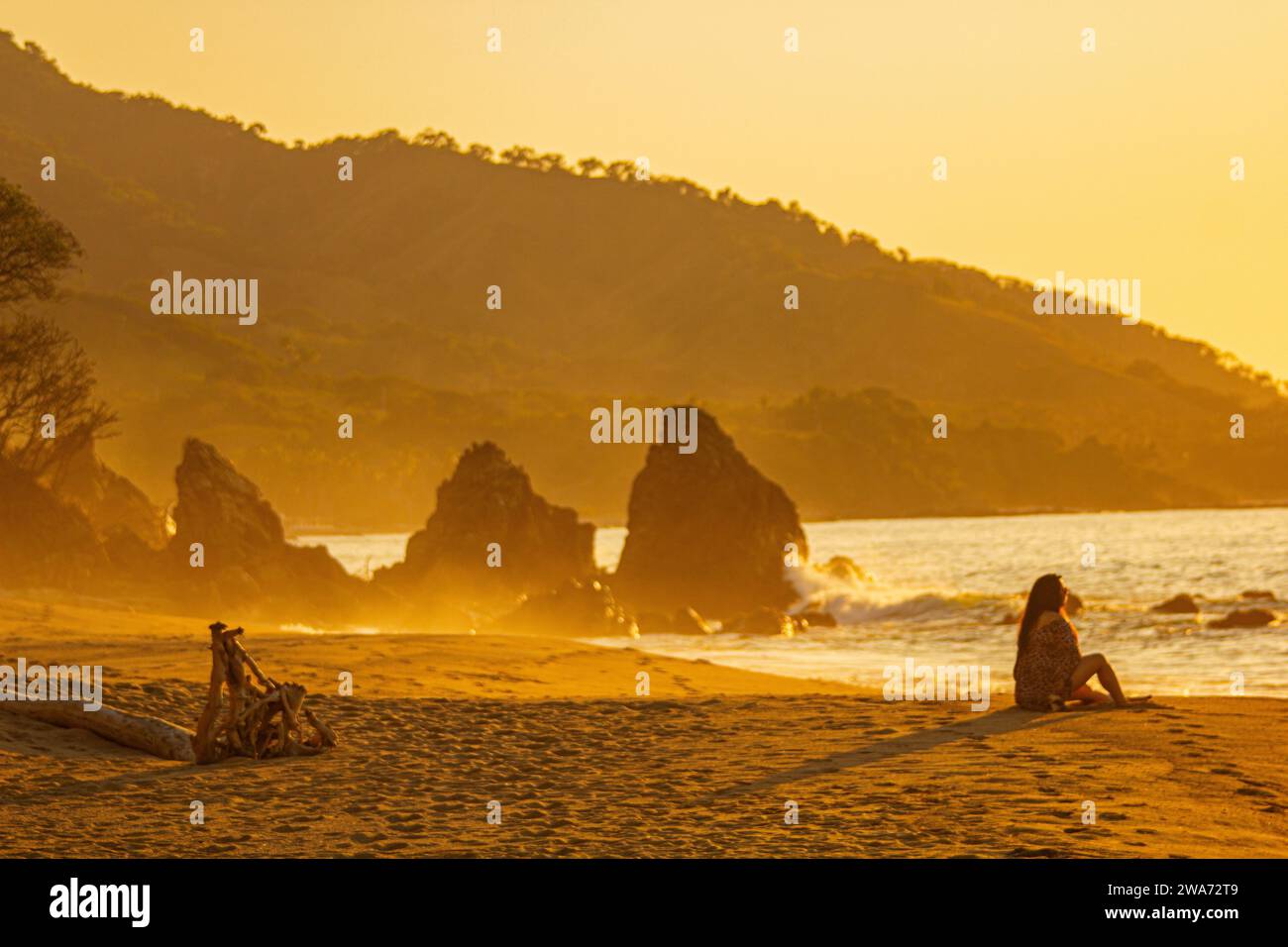 Golden Contemplation: Solitary Figure Reflecting by the Seashore ...