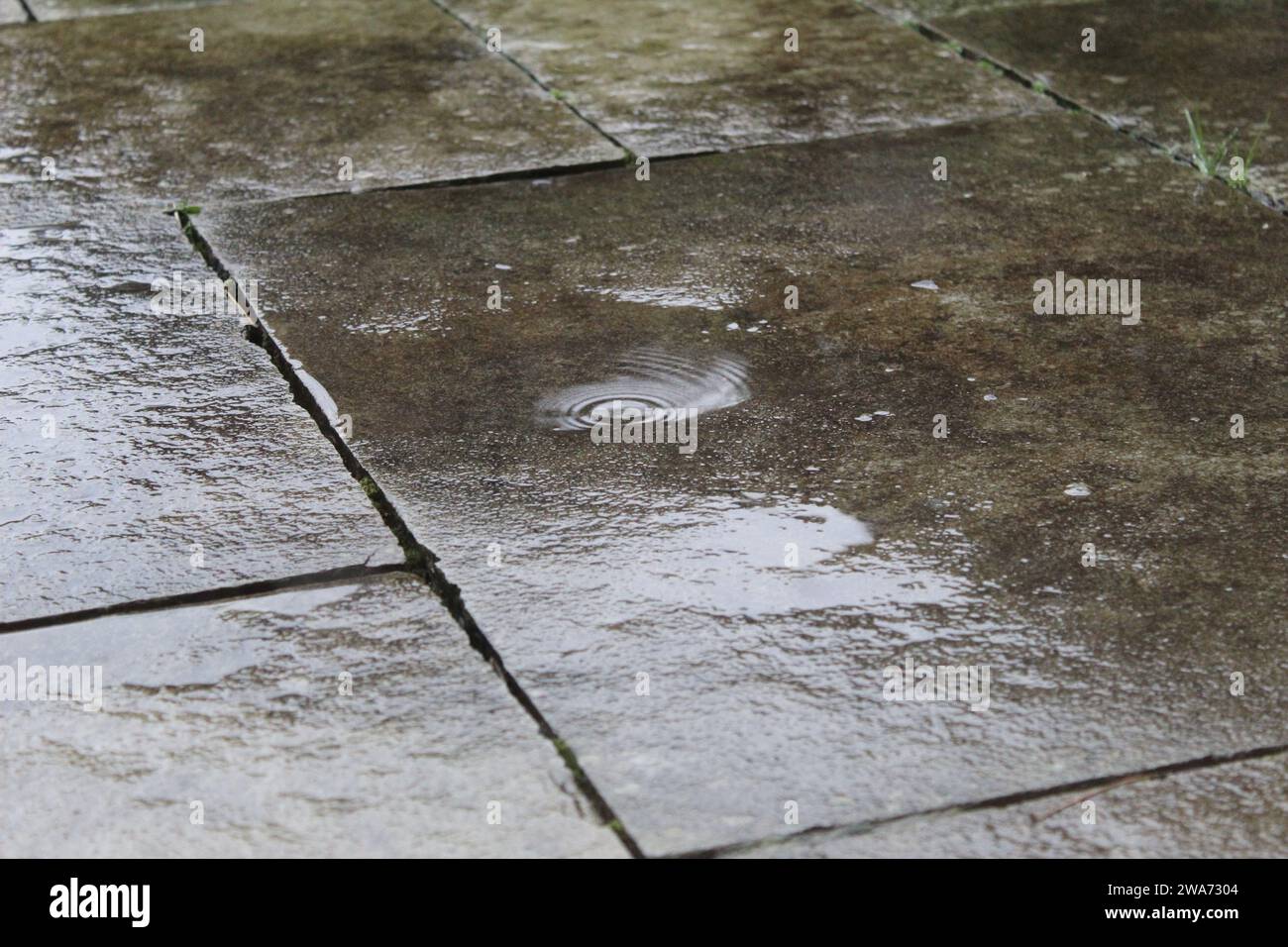 Dualshock 4 wireless controller hi-res stock photography and images - Alamy