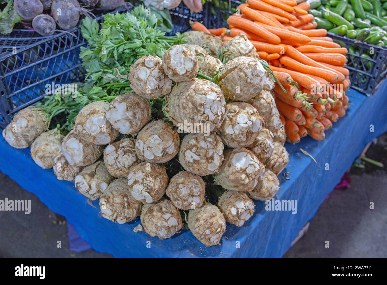 Celeriac Celery Root Vegetables at Farmers Market Stall Stock Photo - Alamy