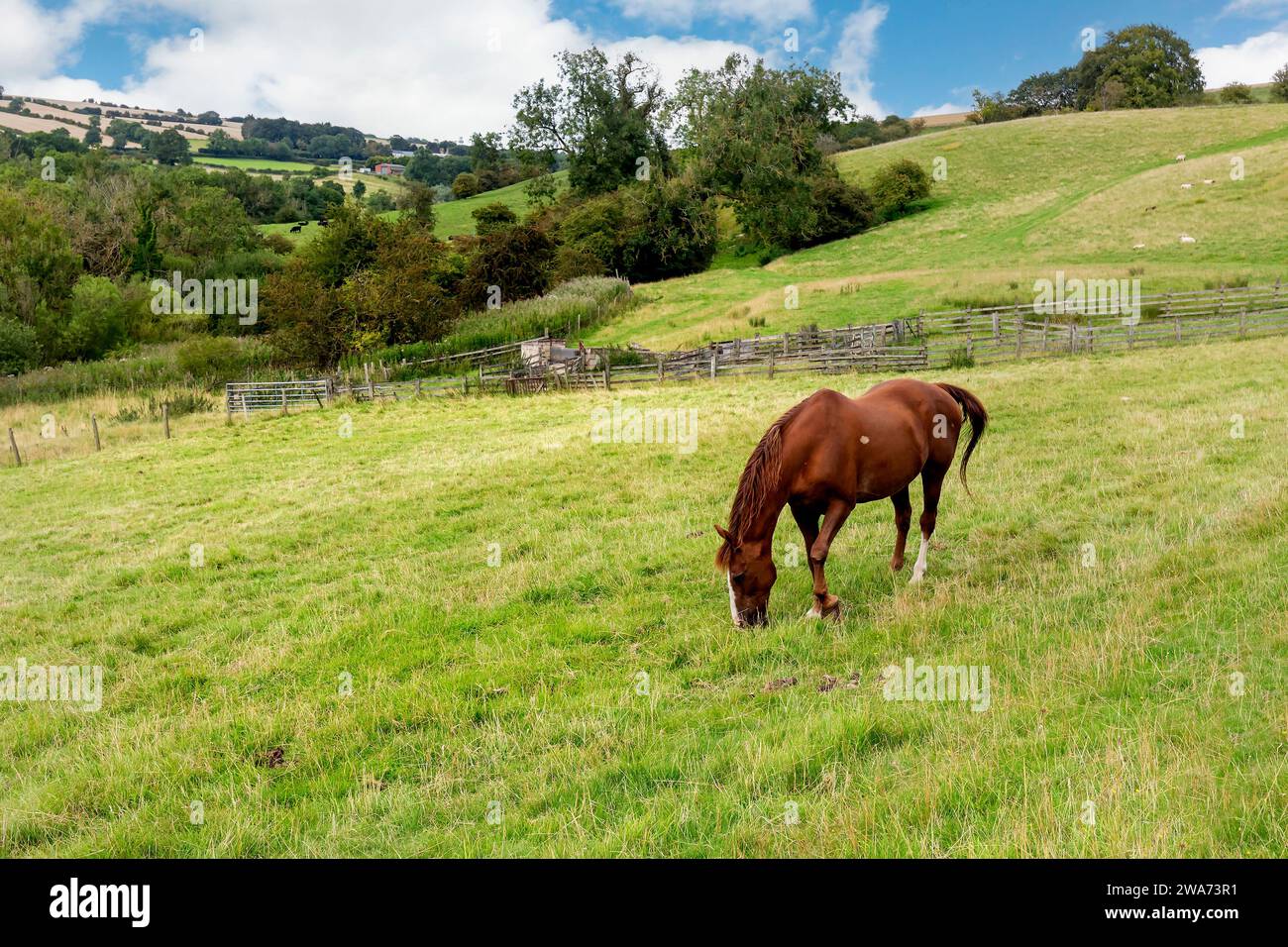 Farm Land Out buildings, stables Stock Photo - Alamy