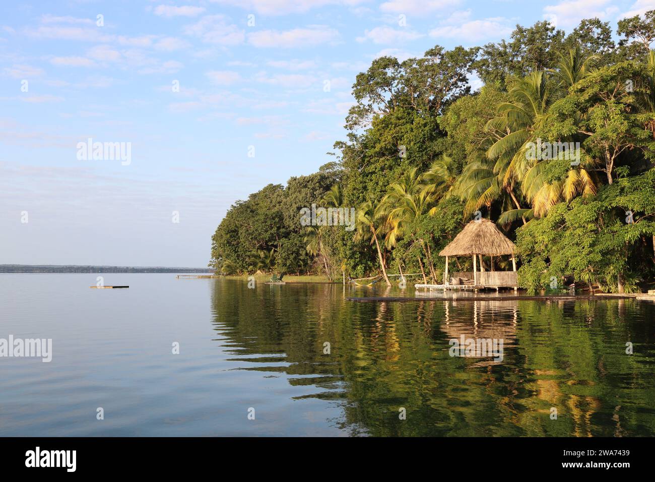 Serenity, Curiosity, Animals, Nature, Water, Calm Stock Photo - Alamy