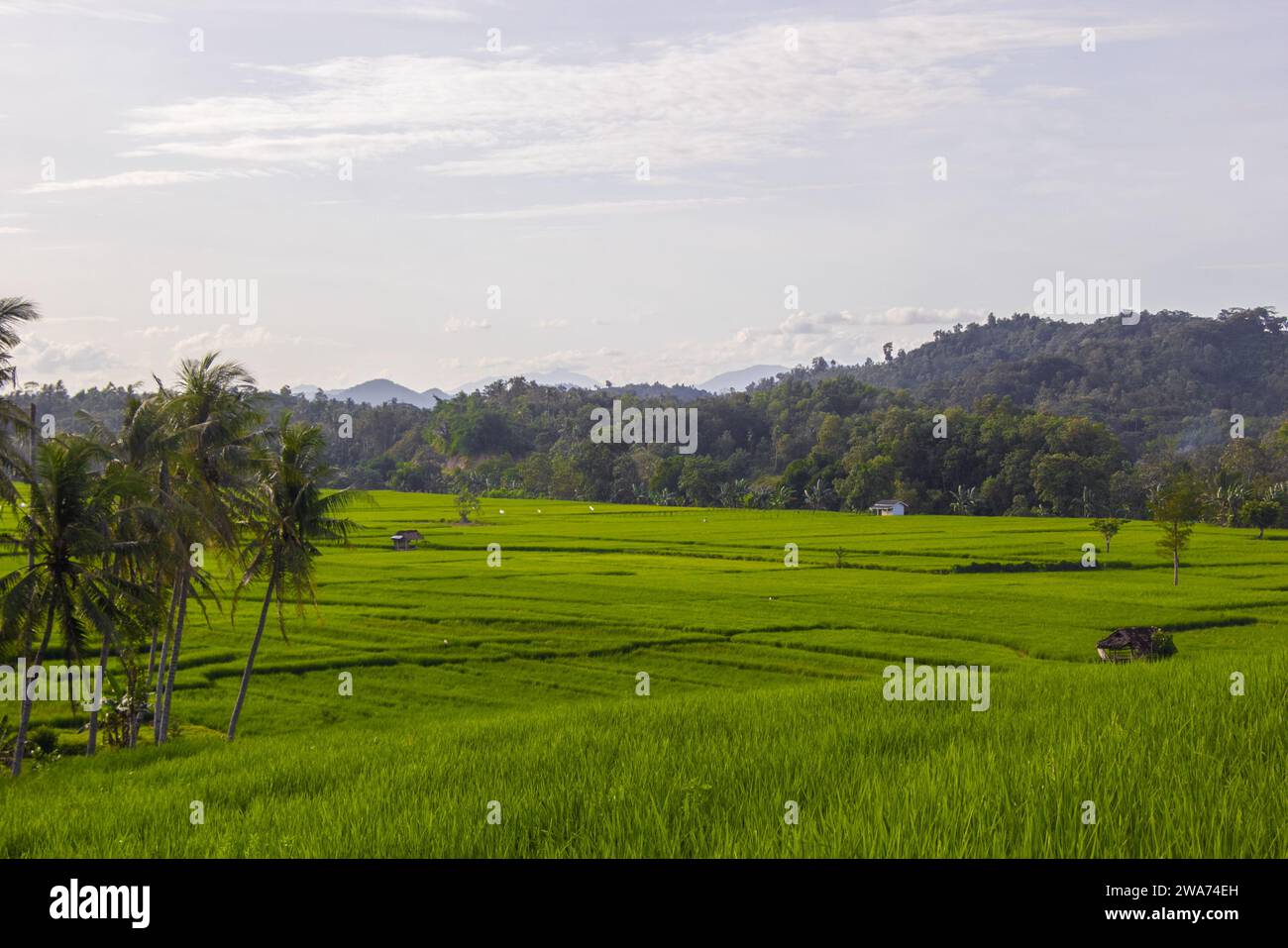 Irigasi hi-res stock photography and images - Alamy