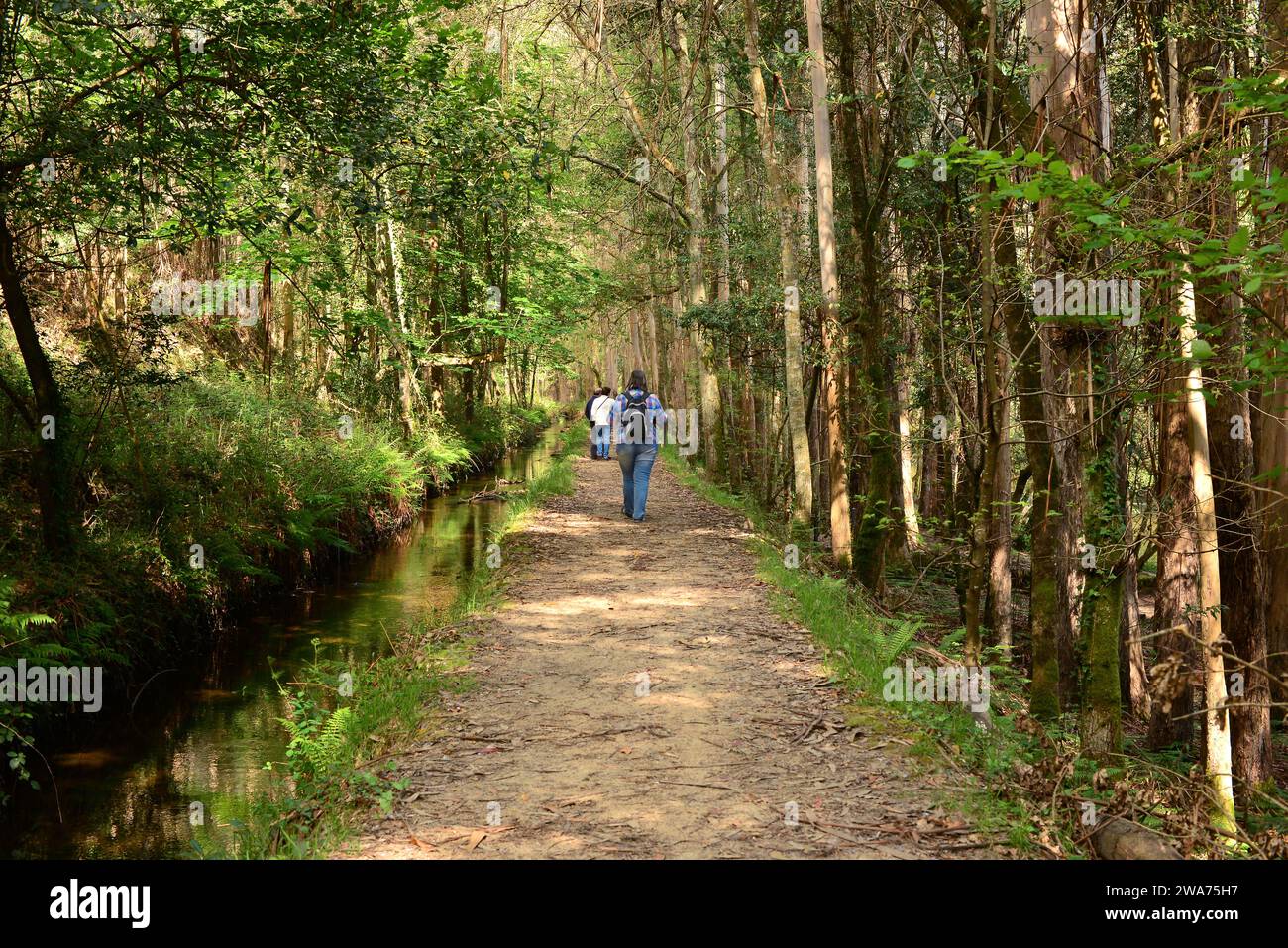 Souto de retorta hi-res stock photography and images - Alamy