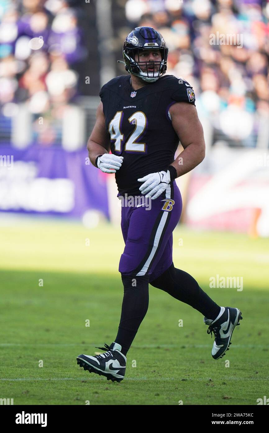 Baltimore Ravens fullback Patrick Ricard (42) during an NFL football ...